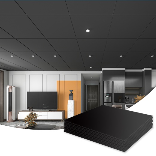 Buy Art3d 12-Pack Smooth Drop Ceiling Tile 2Ft X 2Ft In Black, PVC ...