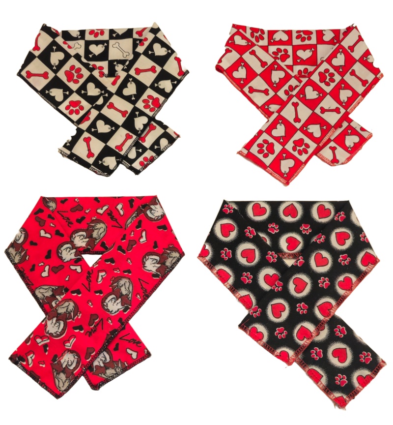 Pkscrf7 12 Assorted Valentine's Day Scarf