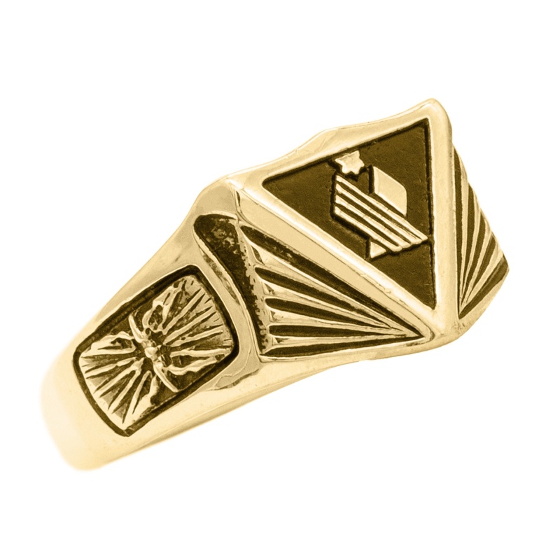 Buy Gold Institute Ring for House Minerva - 10k and 14k Options ...