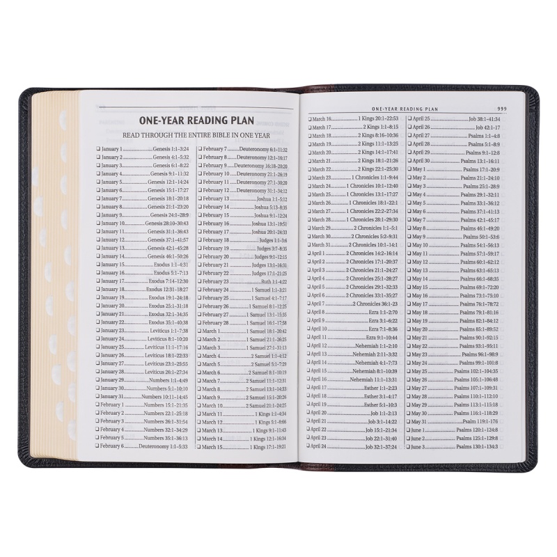 Buy Kjv Bible Deluxe Gift Full-Grain Leather, Black/Saddle Tan Online ...