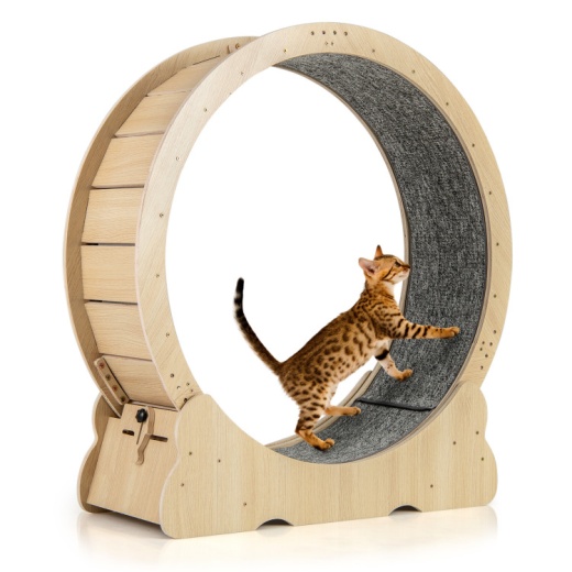 40 Inch Large Cat Exercise Wheel With Lockable Mechanism And Carpeted ...
