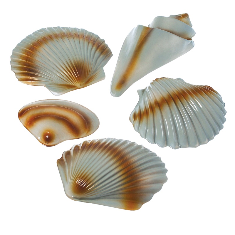 Buy Seashell Decoration Online - 5-Piece Set - Factory Direct Party