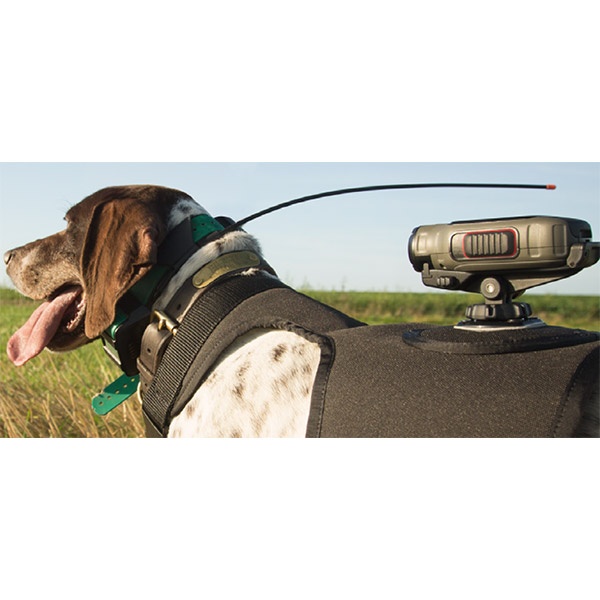 Buy Garmin Long Dog Harnesses for Virb Camera Online - Capture ...