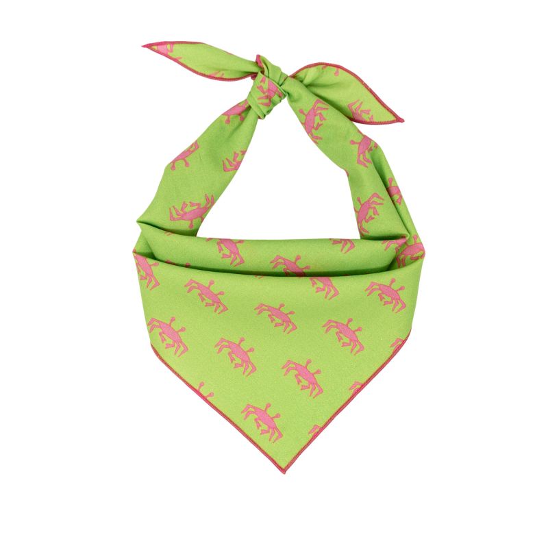 Buy Crab Bandana Online | Nautical Dog Bandana | Summer Fashion