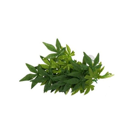 Reptizoo - Terrarium Plant - Iha Leaves