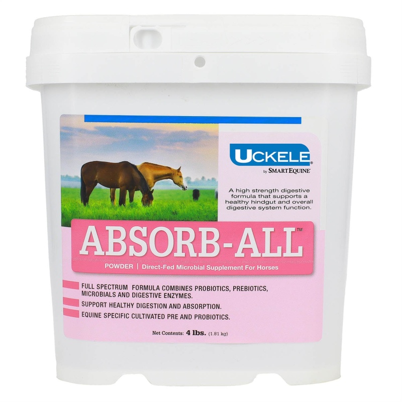 Absorb-All Digestive Supplement For Horses, Powder - 4 Lb