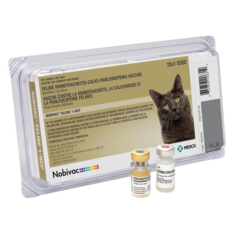 Buy Nobivac Feline 1-Hcp Vaccine for Cats Online - Protect Against ...