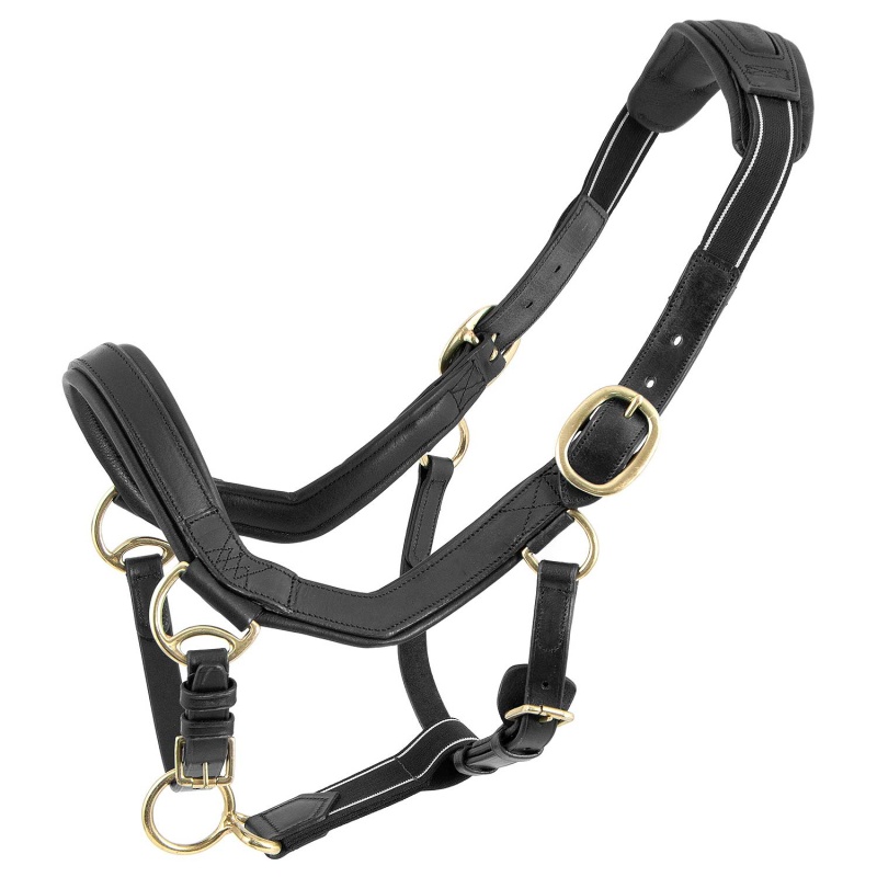 Rambo Micklem Leather Horse Halter - Buy Online for Unparalleled ...