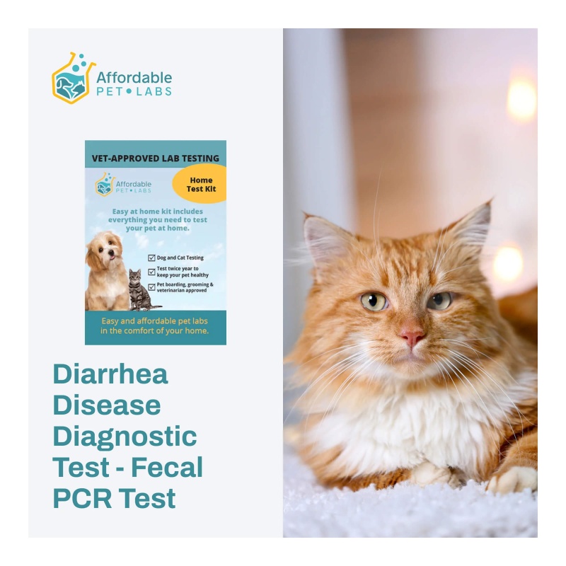 Affordable Pet Labs - Diarrhea Disease Diagnostic Test - Fecal Pcr Test ...