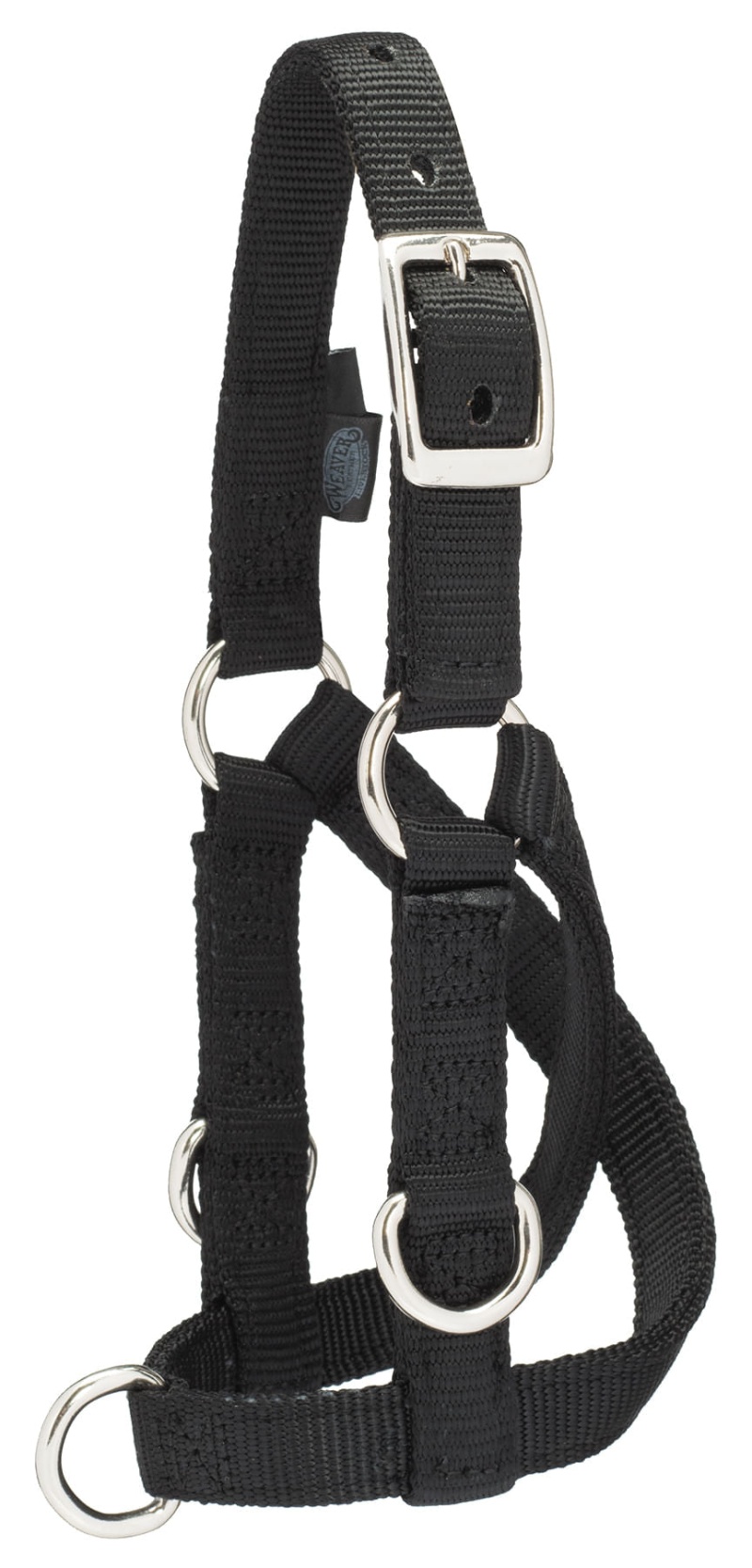 Buy Sheep/Goat Treadmill Halter Online - Improve Farm Animal Performance