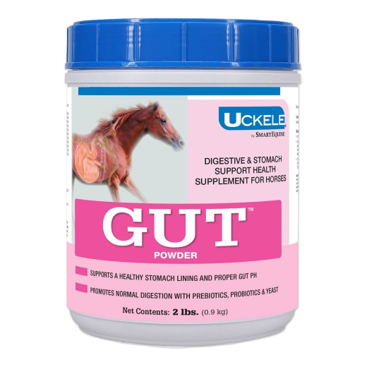 Gut, Digestive & Stomach Support Supplement For Horses, Powder