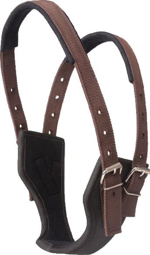 Buy Tough 1 Comfort Cribbing Collar Online for Horse Behavior Management