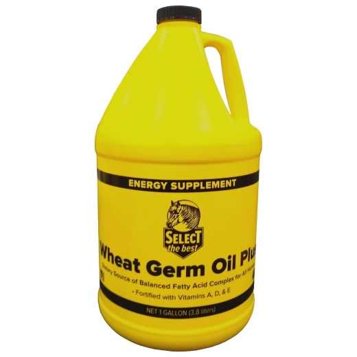 Wheat Germ Oil Plus Horse Fatty Acid Supplement – Omega-3 & Omega-6 ...