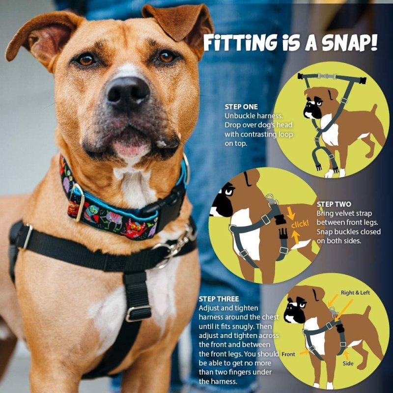 2 Hounds Design Freedom No-Pull Dog Harness Training Package, Large ...