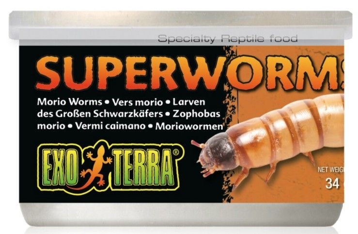 Buy Exo Terra Canned Superworms Specialty Reptile Food Online