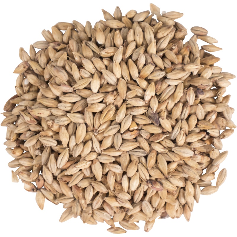 Dark Munich Malt - Weyermann® Specialty Malts