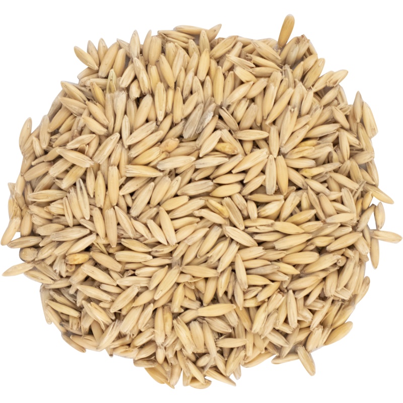 Oat Malt - Thomas Fawcett Malting