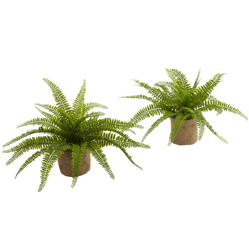 Buy Boston Fern W/Burlap Planter (Set Of 2) Online - Home Decor Essential