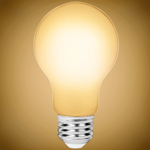 1500 Lumens - 13 Watt - 3000 Kelvin - Led A19 Filament Bulb - Milky Finish