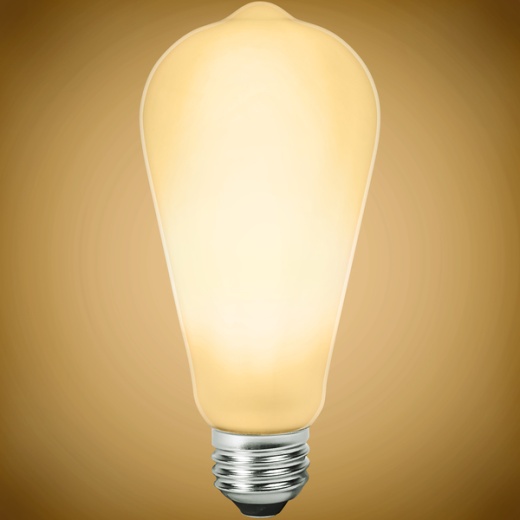 Natural Light - 450 Lumens - 5 Watt - 2700 Kelvin - LED Edison Bulb