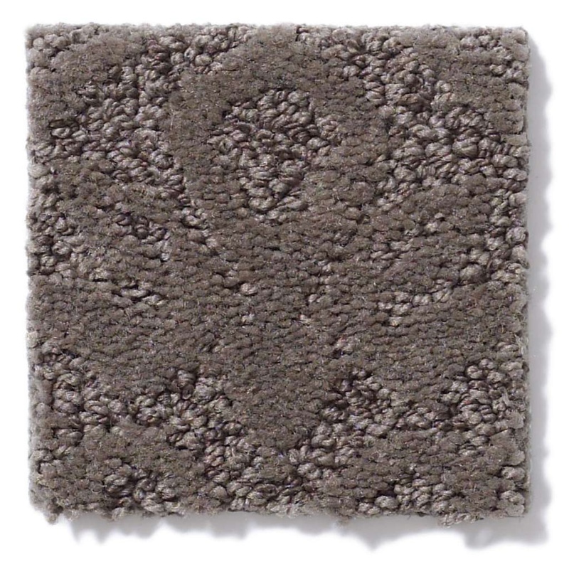 Buy Caress By Shaw Modern Amenities Chinchilla Nylon Carpet - Pattern ...